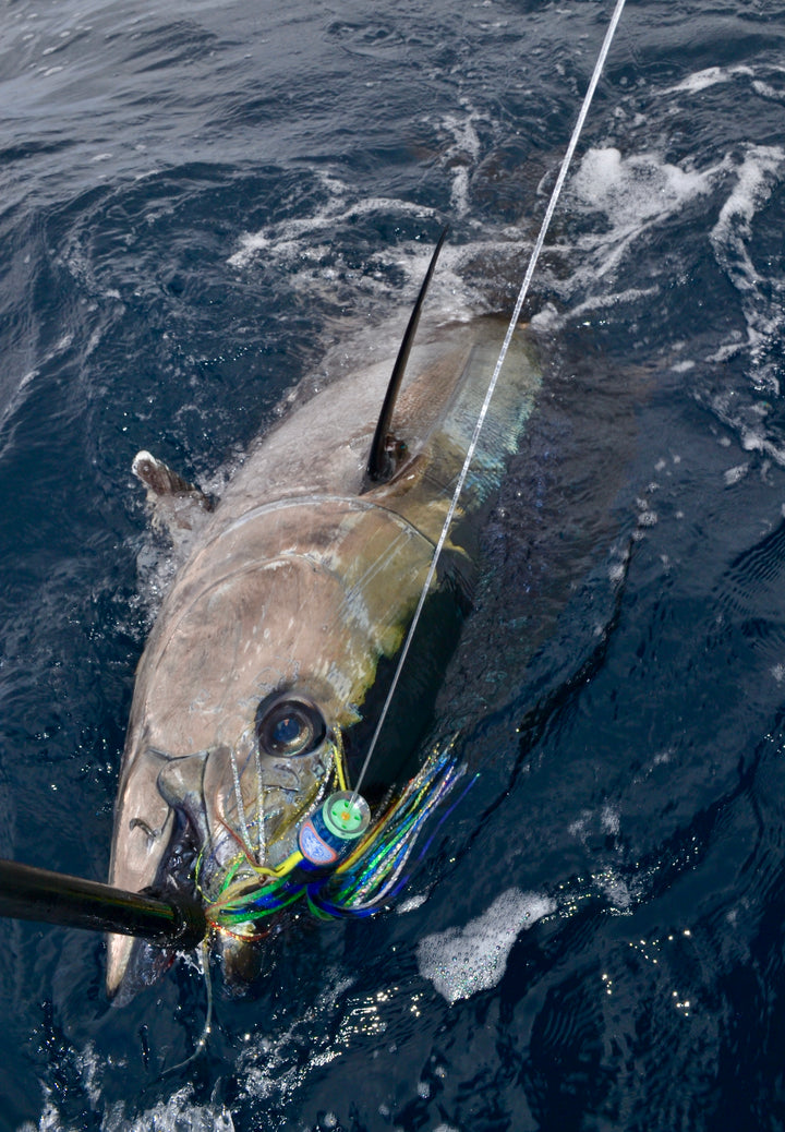 About Us – Wind Against Tide